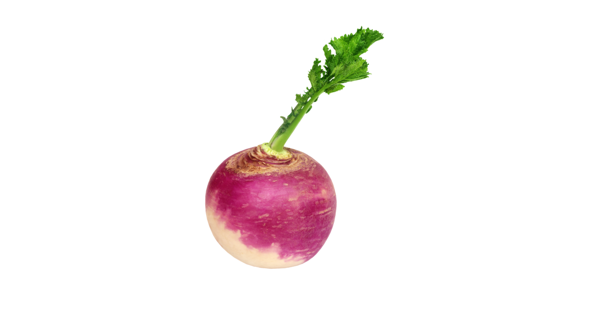 Productos - Hermanos Ramón